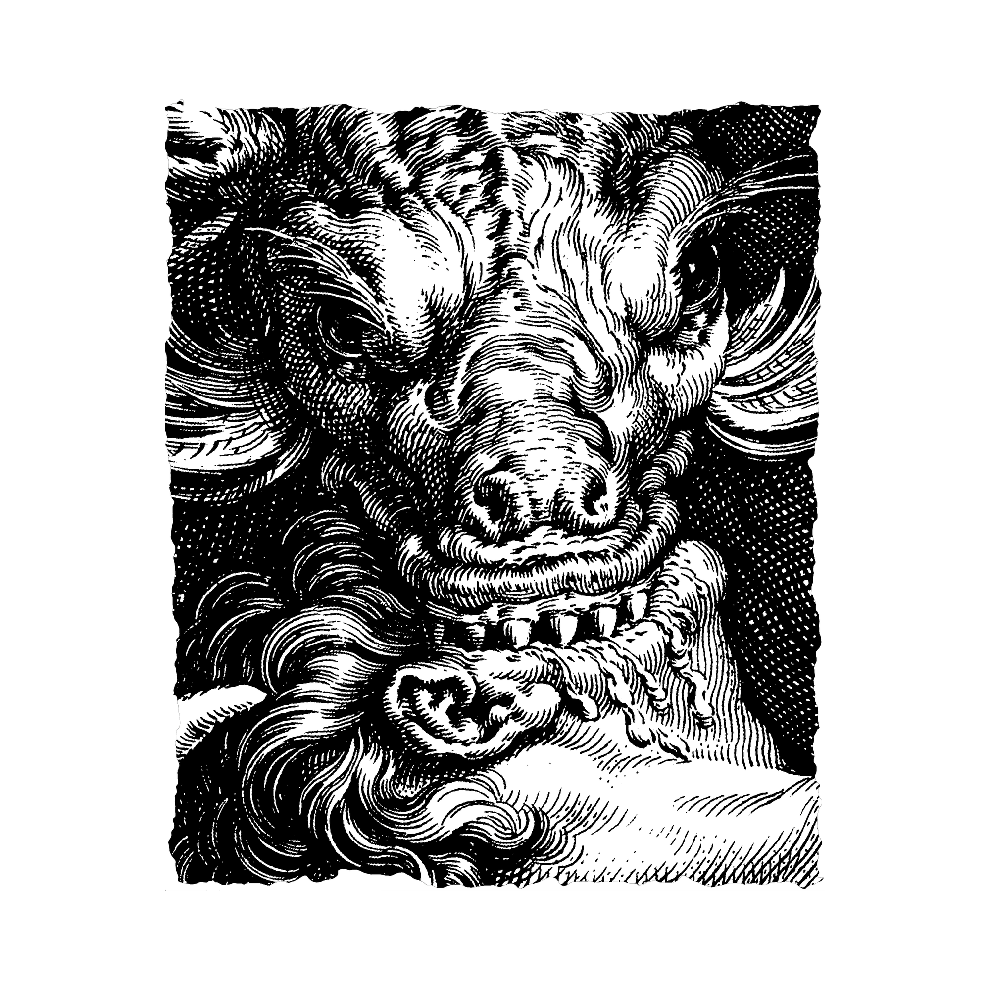 Gnashing Teeth | Occult & Obscure Clothing | Night Channels