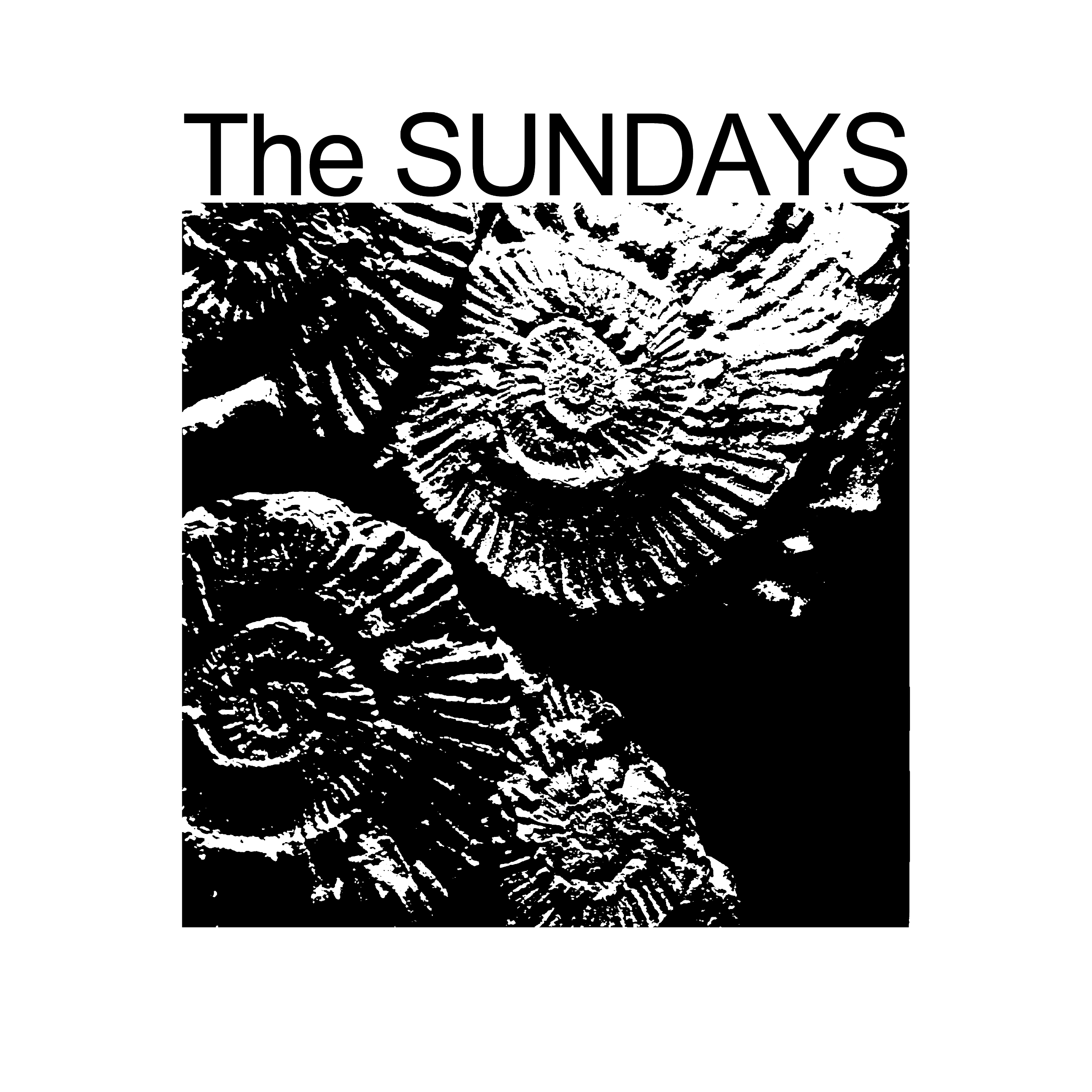 The Sundays Shirt | Occult Clothing